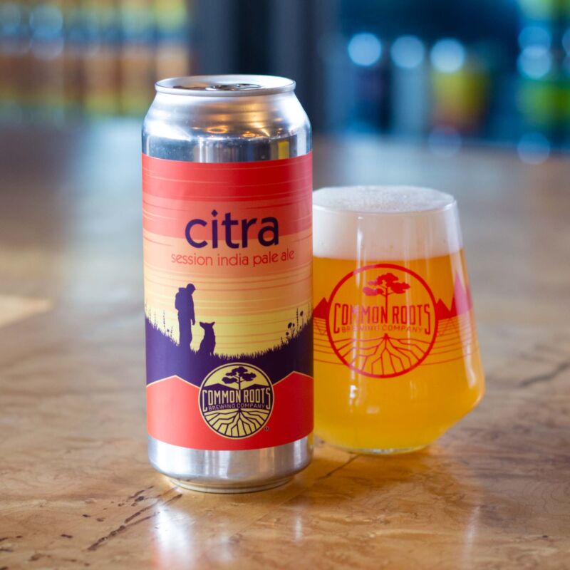 Our Beer | Seasonal & Core Lineup | Common Roots Brewing