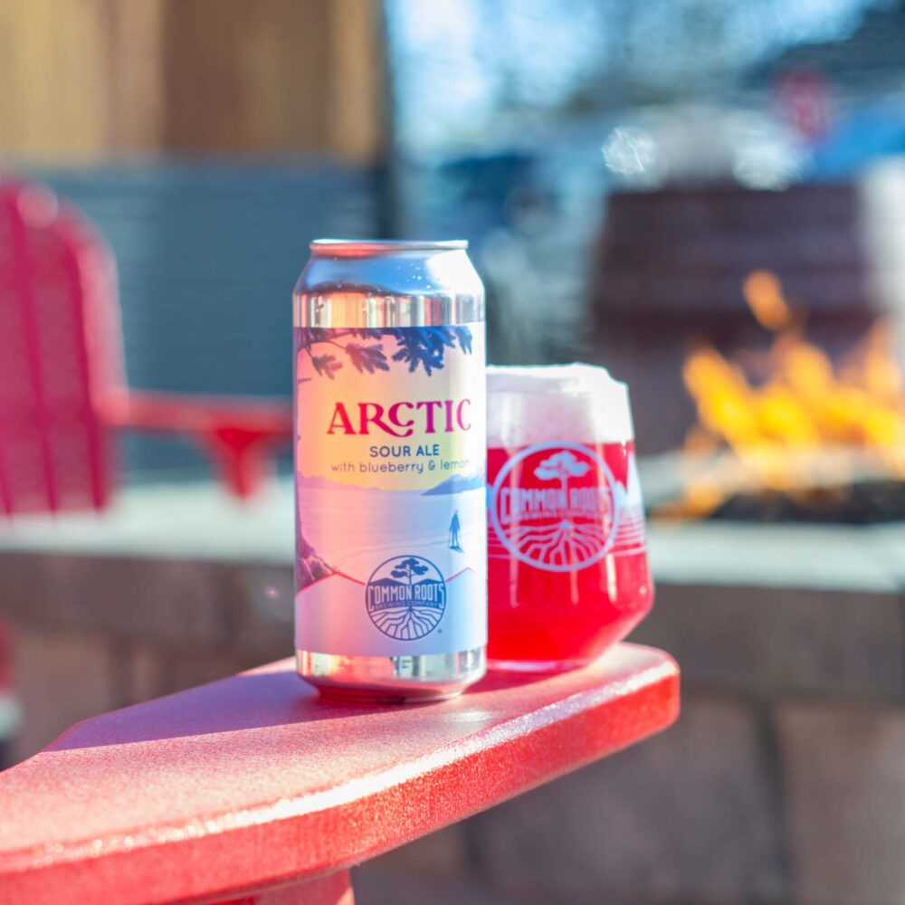 Arctic – Common Roots Brewing Company